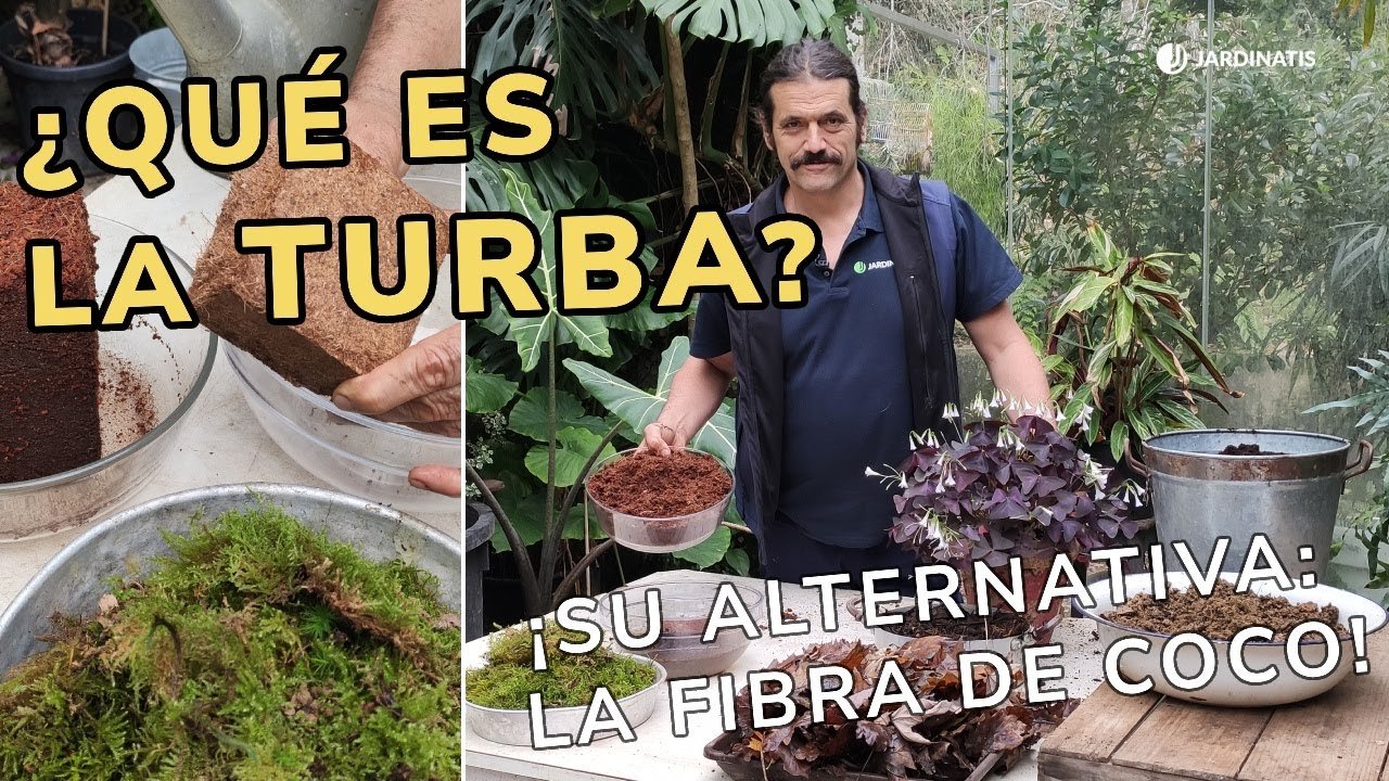 ¿Qué es la turba? Descubre sus características y usos en jardinería ...