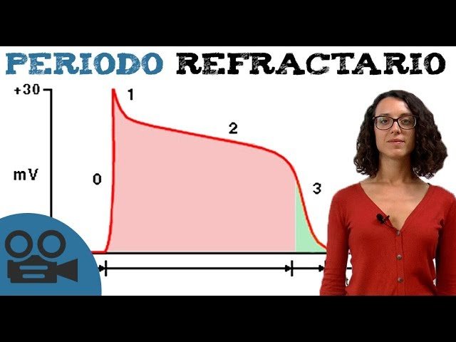 ¿Qué es un refractario? Definición, tipos y aplicaciones esenciales ...
